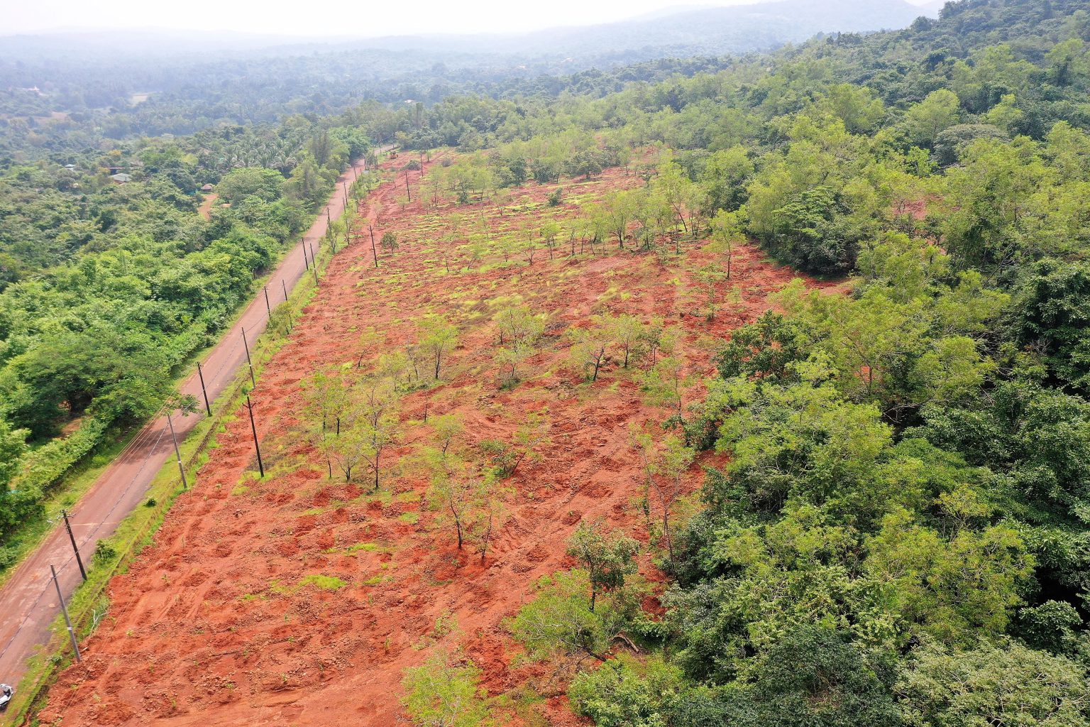 GTTPL – Goa Tamnar Transmission Project Coexists with Nature